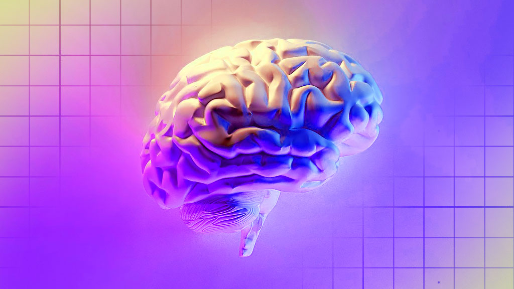 Monkey brains made younger, thanks to modified longevity stem cells